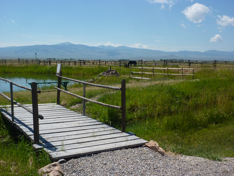 Conestoga Campground | Go Camping America