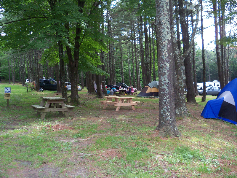 Blue Mountain Campground - Passport America Camping & RV Club