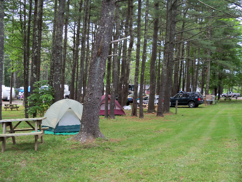 Blue Mountain Campground - Passport America Camping & RV Club