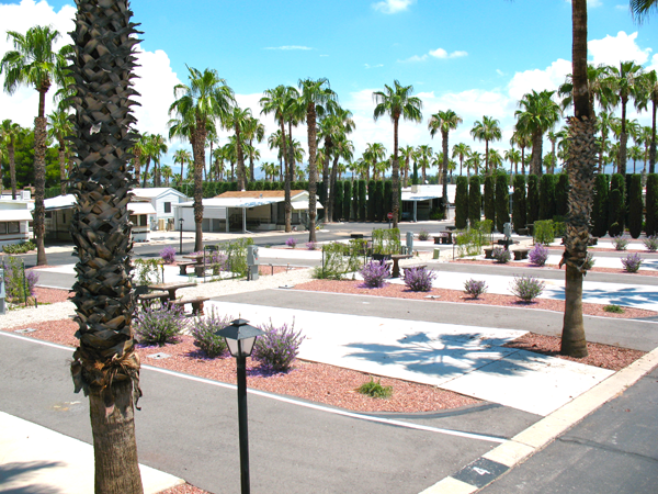 Rincon Country East RV Resort - Passport America - The ORIGINAL 50% ...