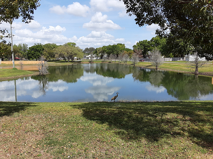 Seven Acres RV Park - Passport America - The ORIGINAL 50% Discount ...